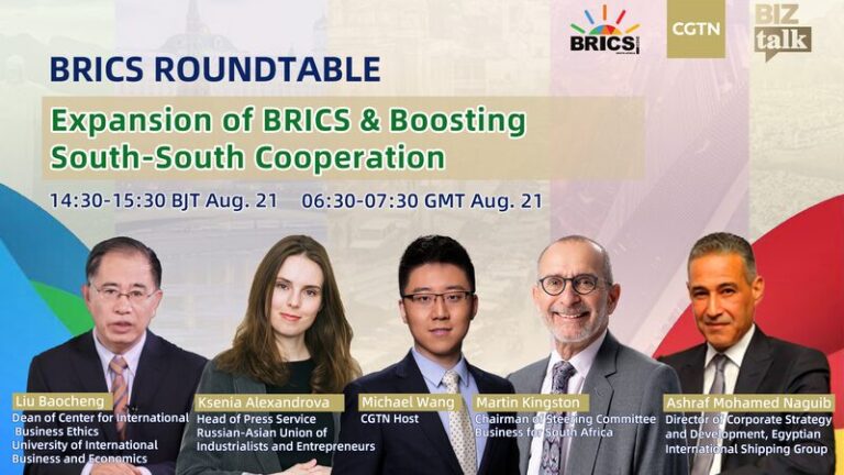 BRICS Summit in Johannesburg: Expansion and Enhanced Cooperation ...