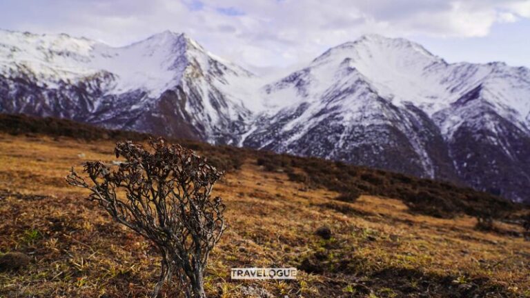 Unveiling the Ancient Forests of Mount Sigu’niang: China’s Pristine ...