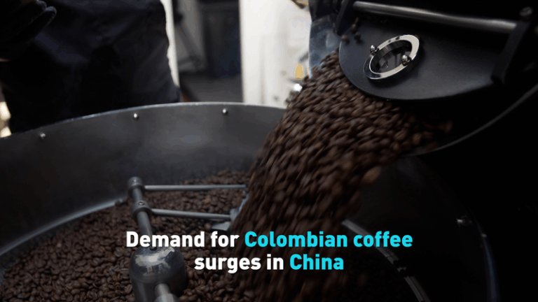 Colombian Coffee Brews New Trade Ties with China During Presidential ...