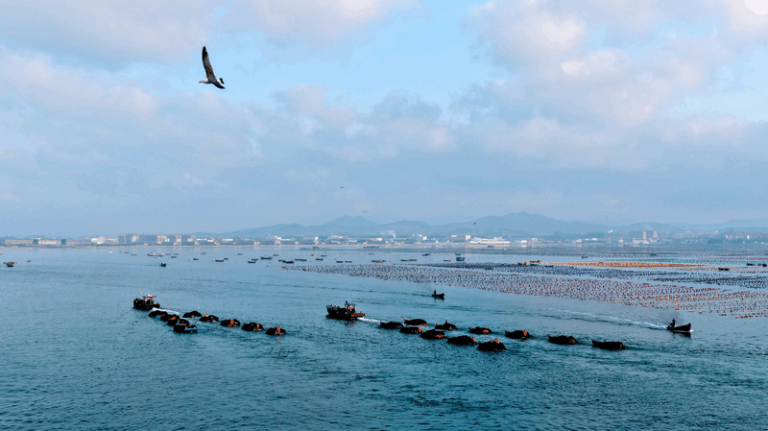 Xi Jinping’s Vision: China’s Maritime Powerhouse Strategy Unveiled ...