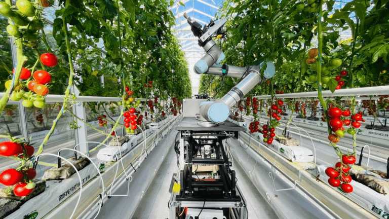 China Unveils World’s First AI-Powered Plant-Breeding Robot - Khabar Asia