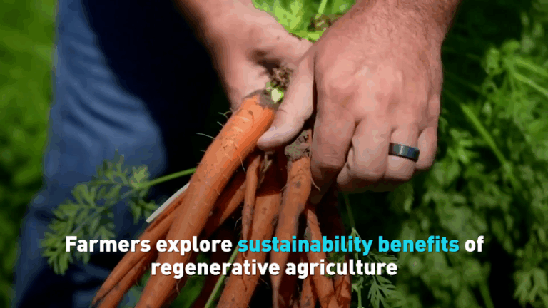 California Farmers Lead Charge in Regenerative Agriculture for Climate Resilience - Khabar Asia