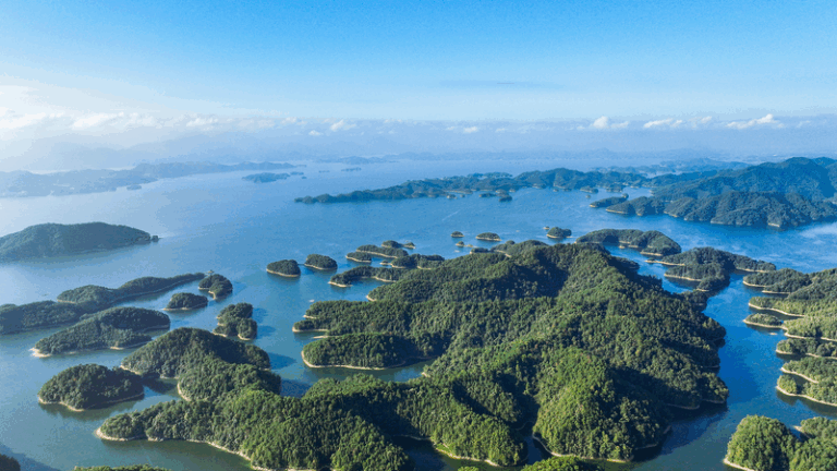 UNESCO Congress Explores Digital Innovations for Biosphere Protection ...