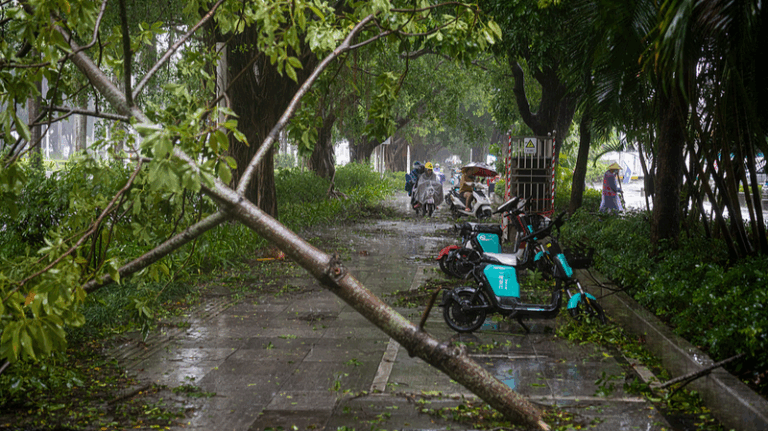 Typhoon Matmo Weakens in Southern China, Relief Efforts Intensify ...