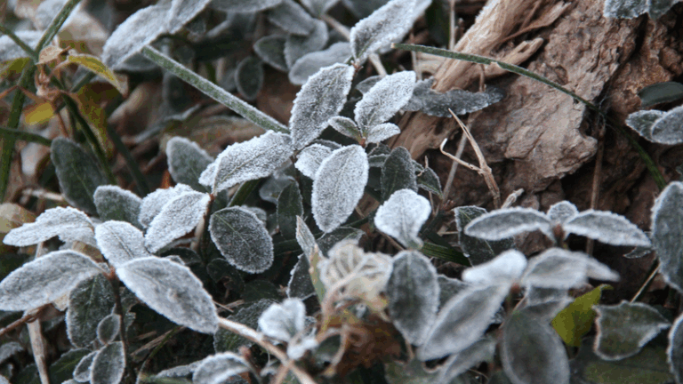 Triple Cold Snaps Grip China: Widespread Snow, Wind Forecast - Khabar Asia