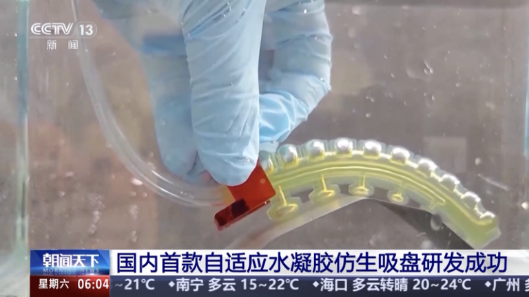 China Unveils Breakthrough Hydrogel Suction Disc for Underwater Tech ...