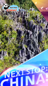 Hainan’s Xian’an Stone Forest Emerges as Eco-Cultural Tourism Hub ...