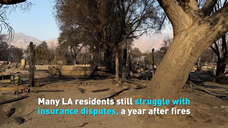 Wildfire Survivors Face Mounting Insurance Battles in Southern ...
