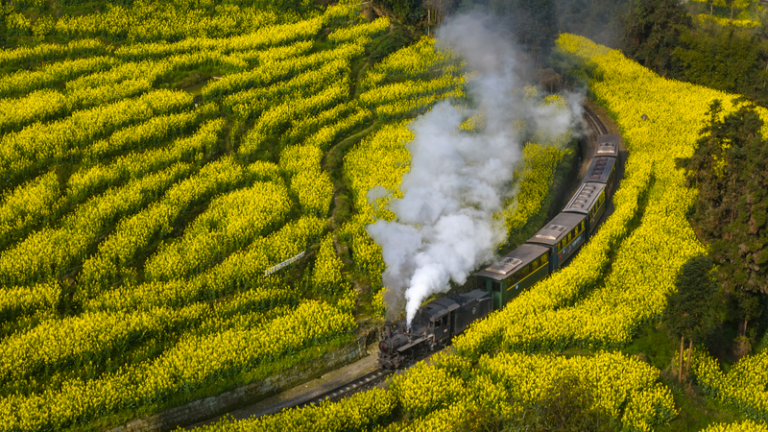 Jiayang Steam Train Rides Film Tourism Wave in Sichuan’s Spring ...